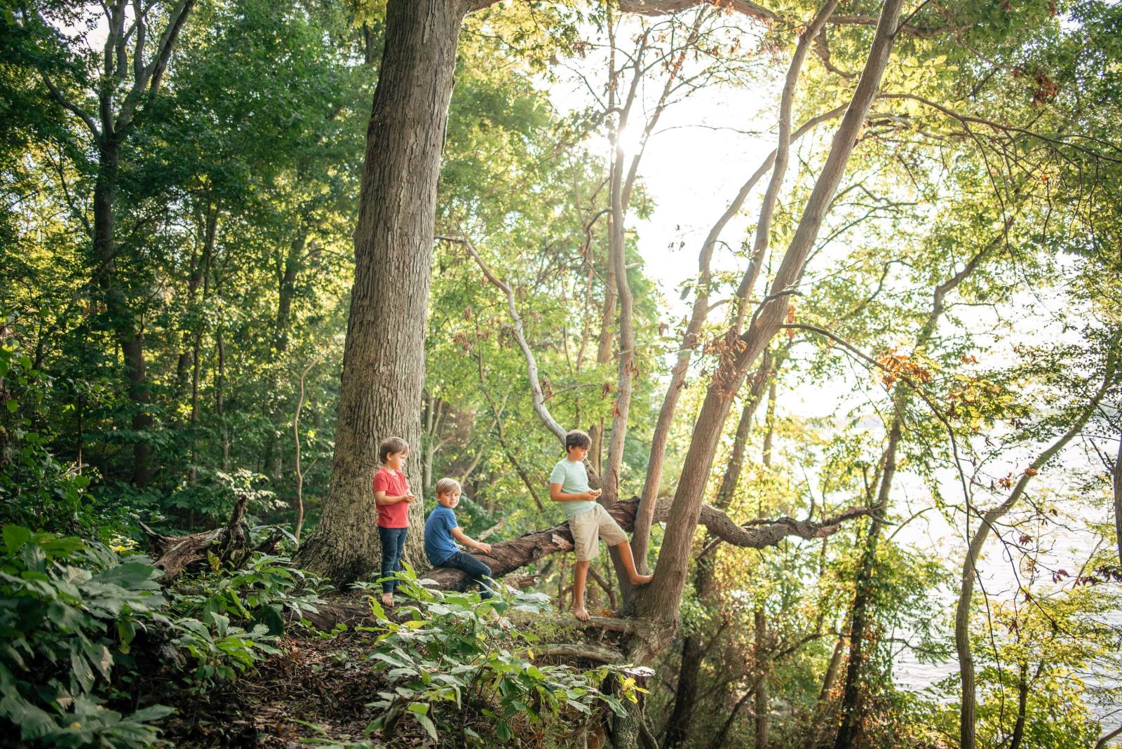 Campground Details - Elk Neck State Park, MD - ReserveAmerica